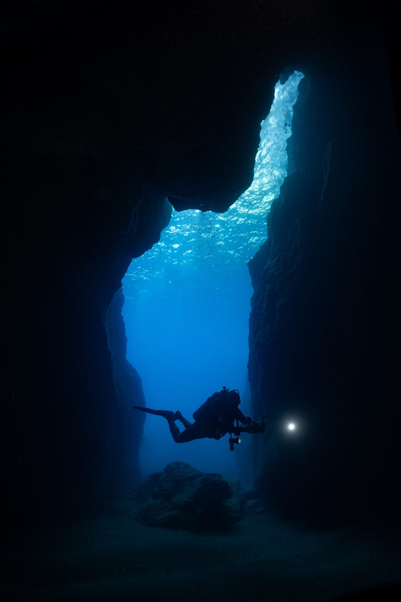 153 underwater photographers descend on Anilao—and their photos are ...
