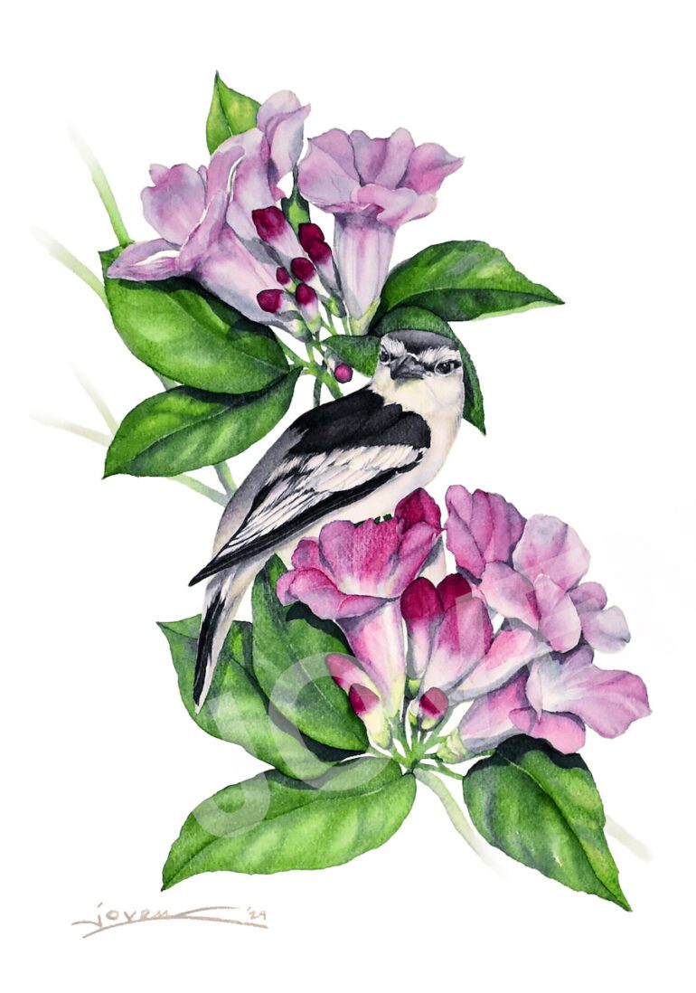 Artist Joven Ignacio lets you into his garden of yearning — The POST