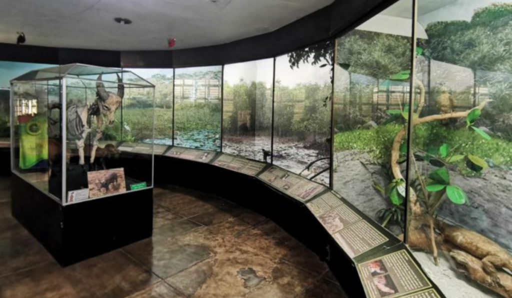 5 family-friendly museums to see in the south — The POST